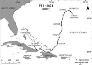 Discoveries – Bermuda Turtle Project
