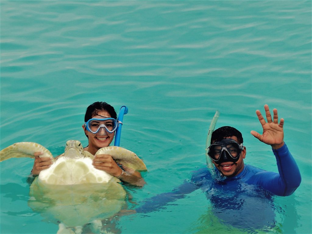 Course – Bermuda Turtle Project