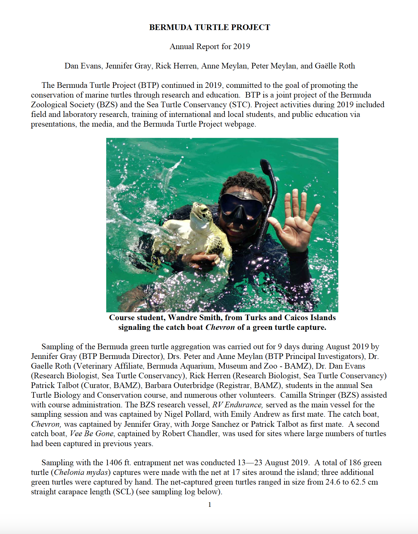 Annual Reports – Bermuda Turtle Project