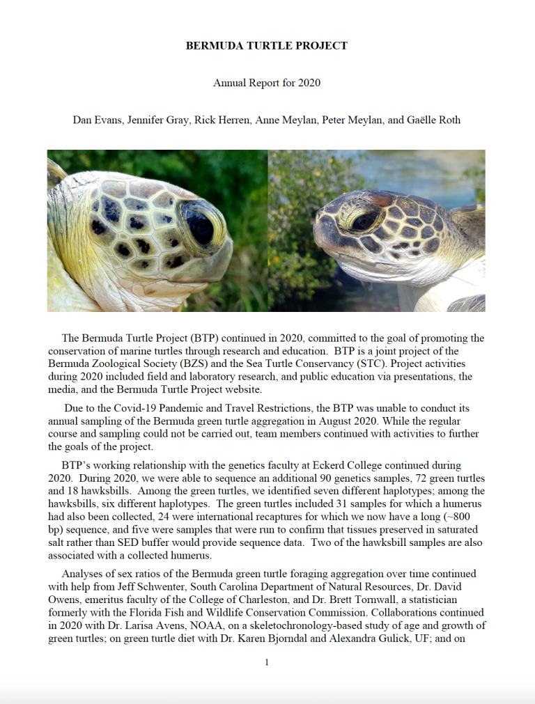 Annual Reports – Bermuda Turtle Project